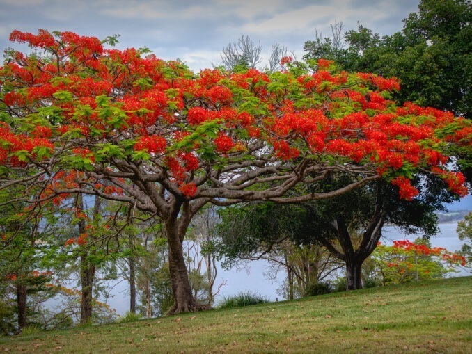 Warwick Qld Pictures Archives - SuggPix Australian Photography